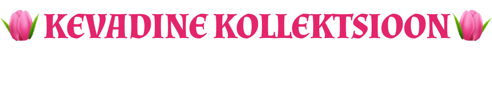 Temu | Tutvu uusimate rõivaste, ilutoodete, kodukauba, ehete ja muuga